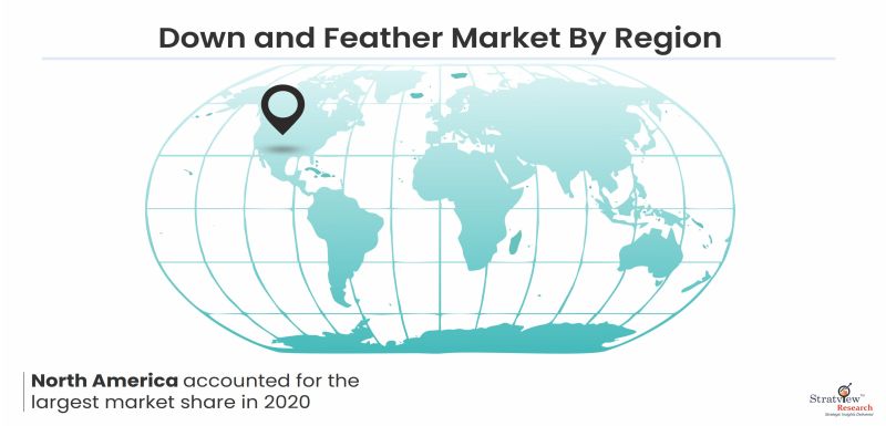 Down and Feather Market | Market Size, Share & Forecast Analysis