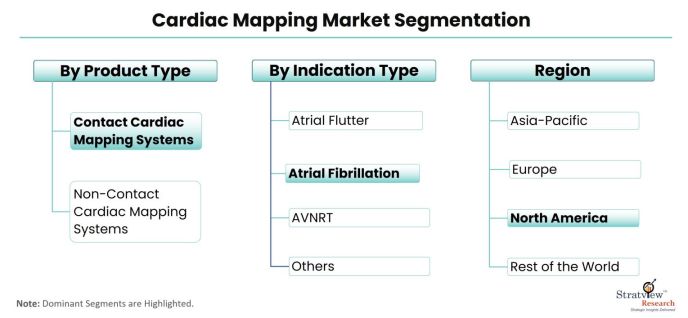 Cardiac Mapping Market Size, Share, & Growth Analysis