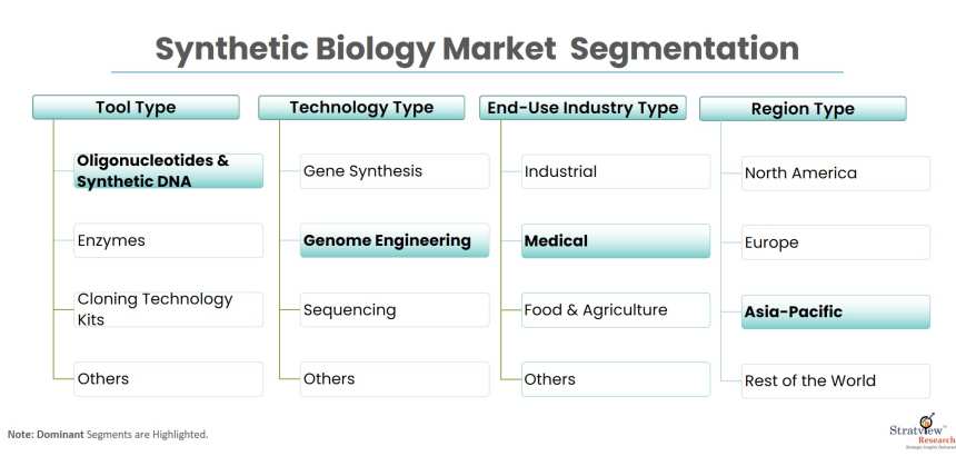Synthetic Biology Market Size, Share, & Growth Analysis