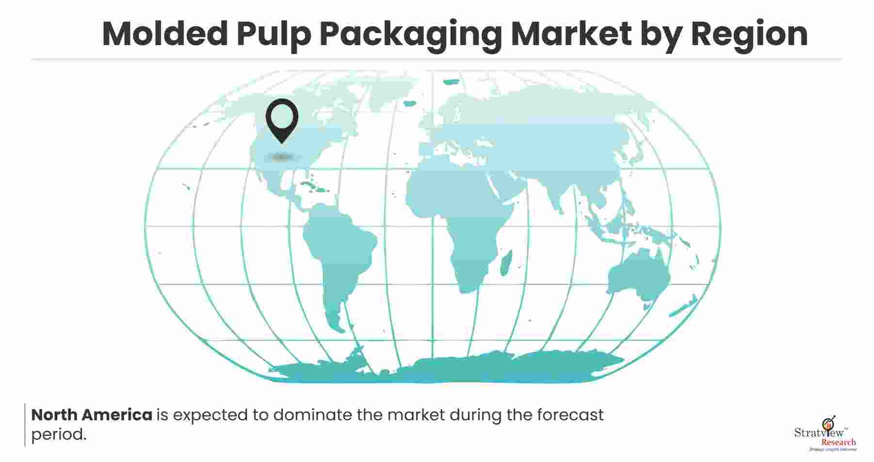 Molded Pulp Packaging Market Size & Industry Forecast, 2028