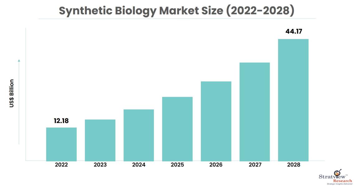 Synthetic Biology Market Size, Share, & Growth Analysis